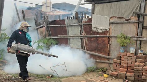 Dengue En Piura Fumigan 34 Mil Viviendas Para Controlar Enfermedad