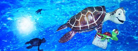 Houge Sandwich Finding Nemo Crush And Squirt Ornament Houge Sandwich Finding Nemo Crush And Squirt Ornament