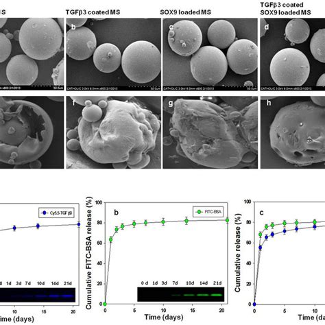 Keun Hong Park Doctor Of Philosophy Cha University Seoul Cha Department Of Biomedical