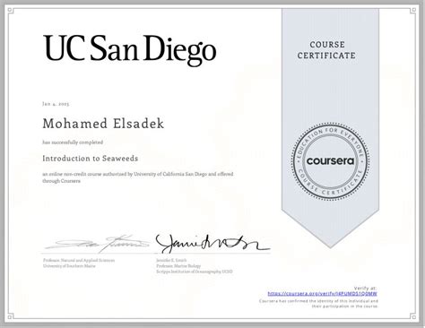 Mohamed El Sadek On Linkedin 🌟 Excited To Share My Achievement 🌟 Im