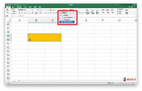 Excel 合併儲存格教學：教你在 Excel App 及電腦版合併儲存格 塔科女子