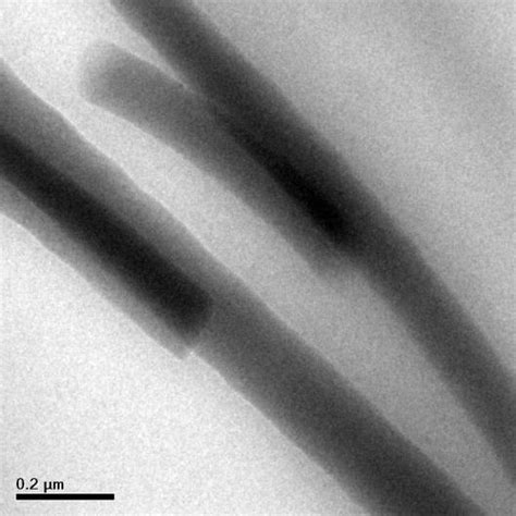 Tem Of Unmodified Cnf Composite Figure 5 Tem Of Modified Cnf Composite