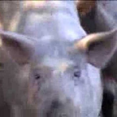 Spellchecker Youtube