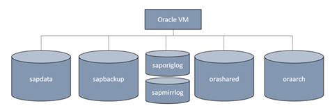 Deploy Sap Anydb Oracle 19c With Azure Netapp Files Microsoft Community Hub