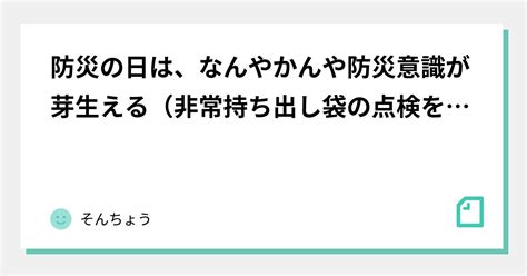 防災の日は、なんやかんや防災意識が芽生える（非常持ち出し袋の点検をする）｜そんちょう