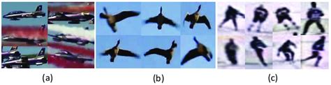 Illustration Of Intra Class Variance Shown Are Cropped Regions From