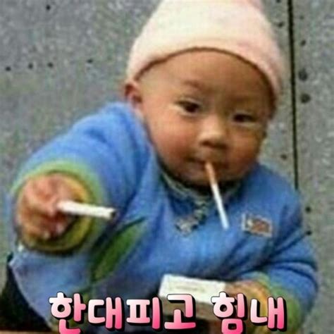 푸하하하하하하하씨 Youtube