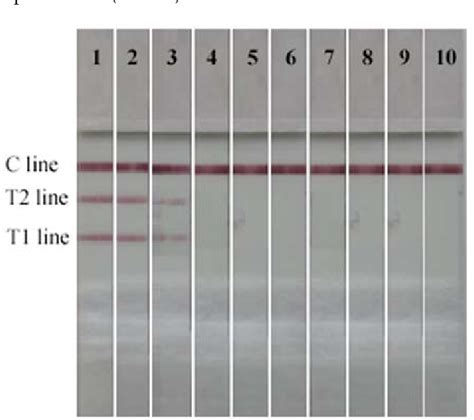Pdf A Novel Lateral Flow Immunochromatographic Assay For Rapid And Simultaneous Detection Of