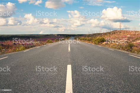 아름 다운 여름의 계절 사진 버드 나무 허브와 좋은 색상 여름 필드입니다 아스팔트 콘크리트와도로 선을 보여주는 자동차도로에서 사진 0명에 대한 스톡 사진 및 기타 이미지