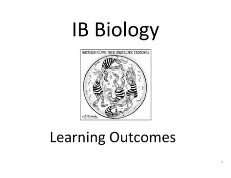 Ib Biology Neurobiology And Behavior Learning Outcomes