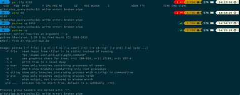 Gitstatusquery Write Error Broken Pipe · Issue 123 · Romkatvpowerlevel10k · Github