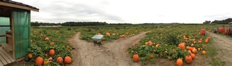 Mr Peppers Pumpkin Patch Updated June 2026 13500 Laurel Rd