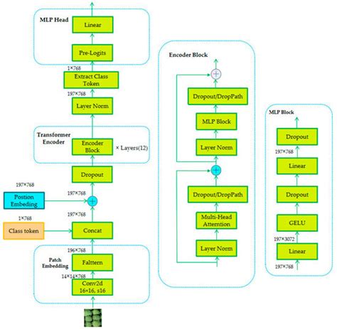 Tree Species Classification In Uav Remote Sensing Images Based On Super Resolution