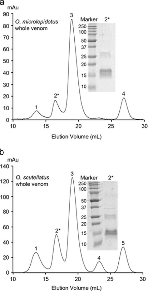 Figure 1 From Mass Spectrometry Data And Size Exclusion Chromatography Profiles Of Australian