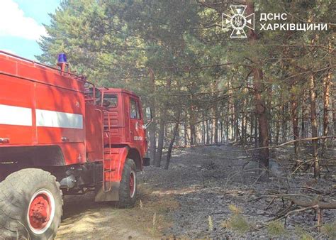 На Харківщині спалахнула масштабна лісова пожежа через російський обстріл фото Trueua