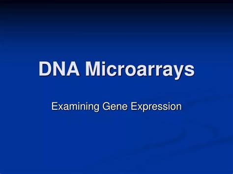 Ppt Dna Microarrays Powerpoint Presentation Free Download Id3696534