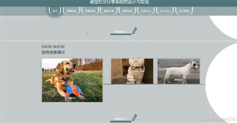 基于nodejsvue萌宠社交分享系统的设计与实现 程序论文开题 计算机毕业设计 Csdn博客