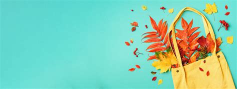 가을 플랫 레이 조성 노란 배경에 파란색 쇼핑 백에 건조 단풍 나무 단풍 맨 위 보기 공간을 복사합니다 플랫 레이 0명에 대한 스톡 사진 및 기타 이미지 Istock