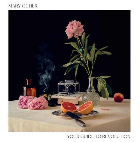 Your Guide To Revolution Mary Ocher