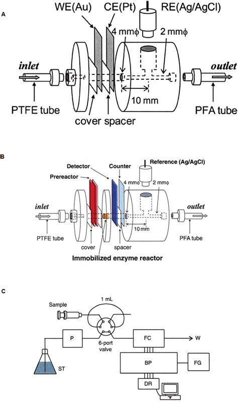 Examples Of Flow Through Cells With Track Etched Microporous Membrane Download Scientific