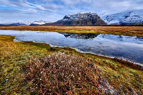 아이슬란드 아름 다운 북극 풍경 밝은 노란색 잔디와 이끼와 푸른 하늘 배경 먼 블랙 힐스 야생 필드 0명에 대한 스톡 사진 및 기타 이미지 Istock