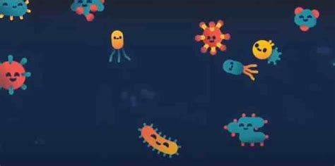 In The Lab With Natural Immune Formulas Canada Free Press