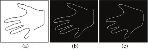 a image obtained by manually deleting some points b b spline and