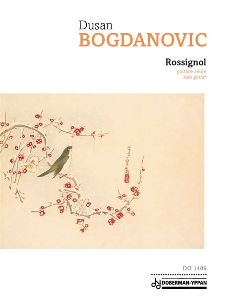 Dusan Bogdanovic Rossignol Guitar Solo