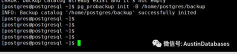 Postgresql 从备份原理 到 Pgprobackup 腾讯云开发者社区 腾讯云
