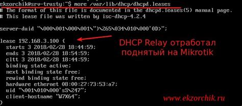 Dhcp Relay Isc Dhcp Server Реальные заметки Ubuntu And Mikrotik And Windows