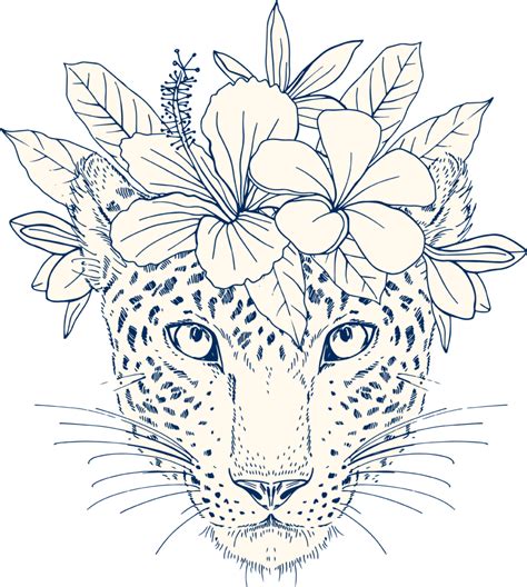 Manta Rays Vs Sting Rays Understanding The Differences Swim With