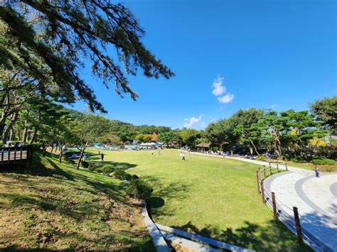 김포 공원 가볼만한곳 가족 나들이로 좋은 태산패밀리파크 네이버 블로그