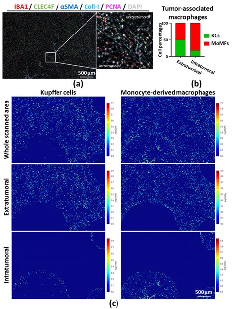 A Multiplex Immunostaining Was Performed On A Liver Ffpe Section From