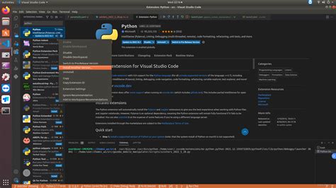 Vscode 调试python程序，debug状态闪断问题的解决方法vscode调试程序闪一下消失 Csdn博客