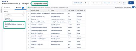 Salesforce Reporting Tip The Number Of Accounts Touched By Campaigns