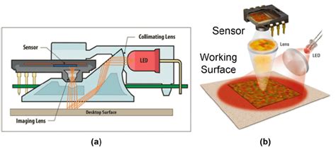 PC Optical Mouse A Anatomy Of The Device B Working Principle Download Scientific Diagram
