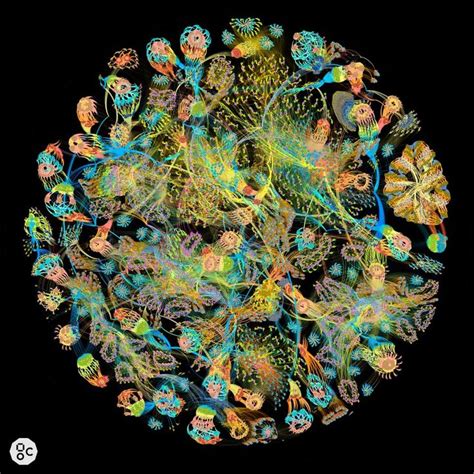 Visualizing Neural Networks As Large Directed Graphs Oc