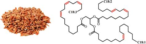 A Review On Vegetable Oil Based Non Isocyanate Polyurethane Towards A Greener And Sustainable
