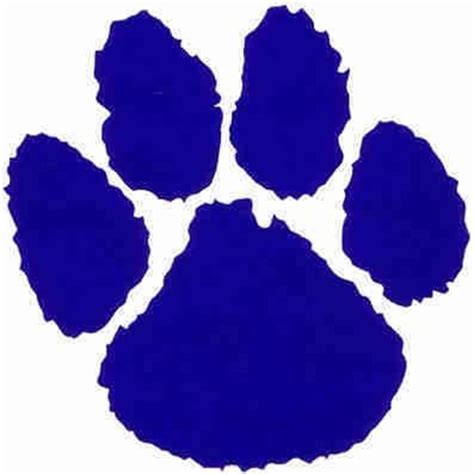 Participle Or Verb Assessment