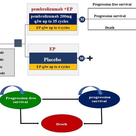 Markov Model Simulating Outcomes For The Patients With Es Sclc In