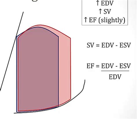 Week 3 Pressure Volume Loops Reflex Control Autonomic Physiology Of