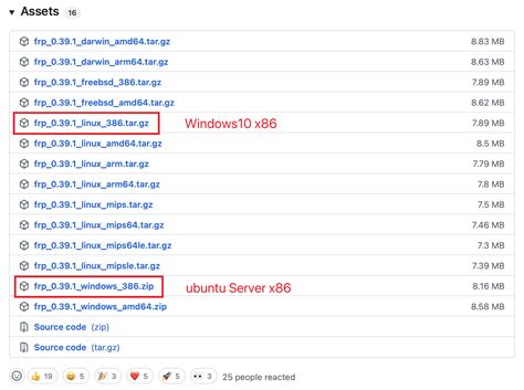 使用frp进行内网穿透 实现公网访问工位主机 吴糖可乐