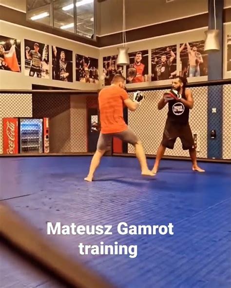 Mateusz Gamrot Training Youtube
