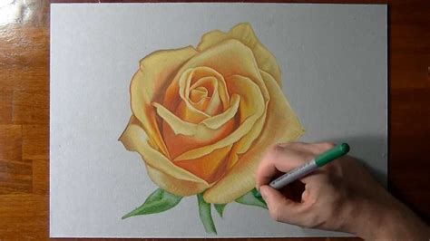 Yellow Rose On Grey Paper Mixed Media Drawing Youtube