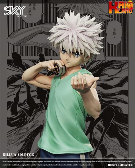 Top Hunter X Killua