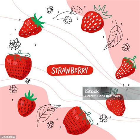 빨간 베리와 선형 잎과 꽃이 분홍색 흰색 물결에 프레임이 있는 딸기 포장 배경 메뉴 카페 레시피 디자인에 대한 벡터입니다 요구르트 잼 과일 화장품 향수 포장 0명에 대한