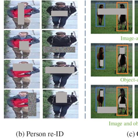 Examples Of Random Erasing [25] Download Scientific Diagram