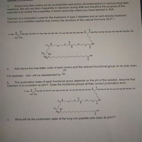 Solved Amino Acid Side Chains Act As Nucleophiles And Proton