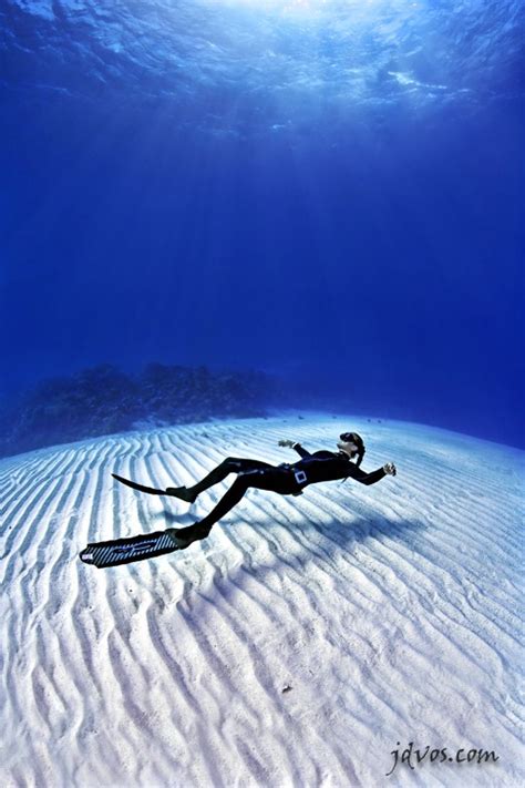 Amazing Underwater Photographs Stockvault Net Blog