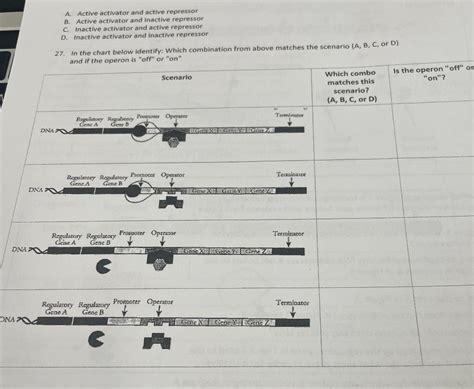 Solved A Active Activator And Active Repressor B Active